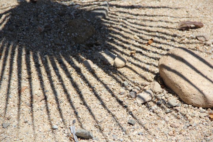 Rayures 3 - Huckgallery - Digital Art & AI, Flowers, Plants, & Trees ...