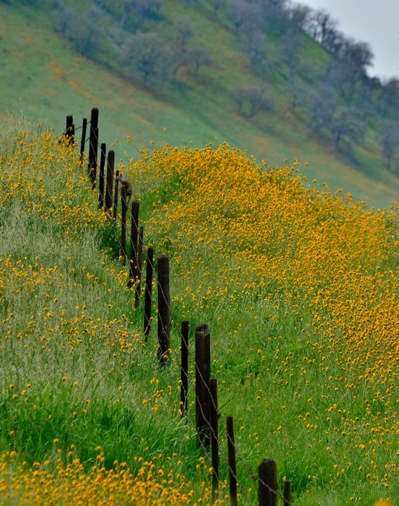 What Lies Over the Hill - Fine Art by Debby - Photography, Landscapes ...