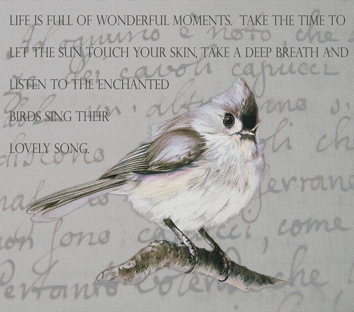 Happy Bird Studio - Paintings & Prints, Drawings & Illustration