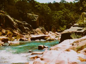 D. Pounds - Paintings & Prints, Photography