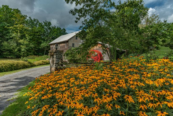 Driving Back Roads - Photography