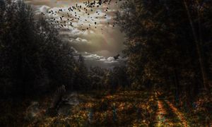 Raven Brings Light to World - Sky F - Digital Art & AI, Animals, Birds ...