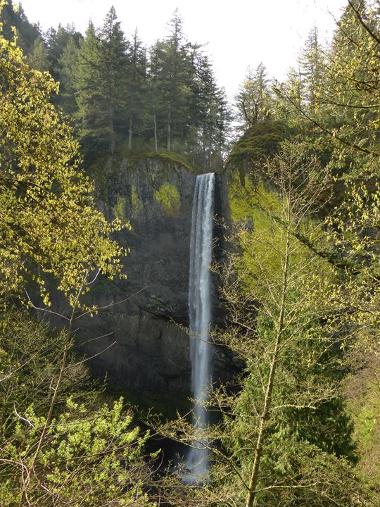 Oregon Waterfall - Seize the Moment - Photography, Landscapes & Nature ...
