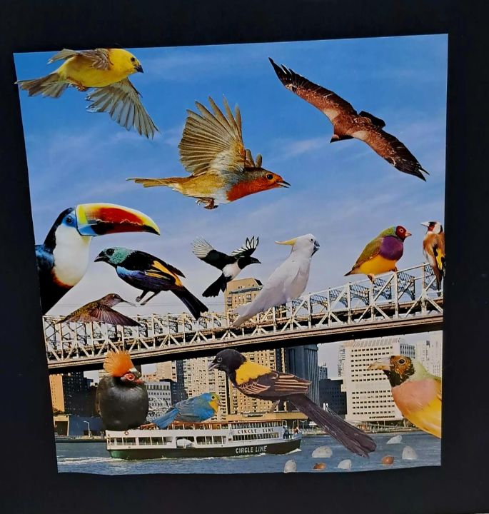 BIRDS TAKEOVER 12x12 Collage - Surreal Vintage Collage by Reesa ...