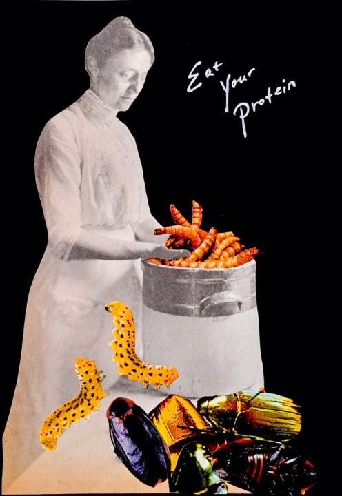 Eat Your Protein - Surreal Vintage Collage by Reesa - Crafts & Other ...