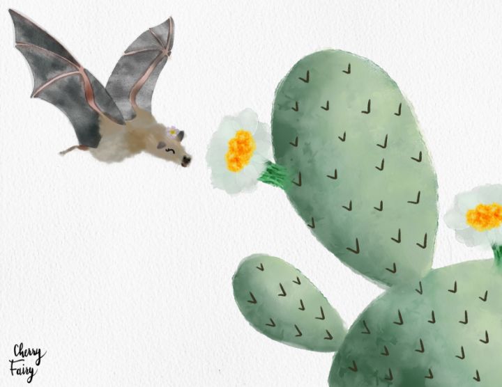 Bat and cactus - Cherry Fairy Art - Digital Art & AI, Animals, Birds ...