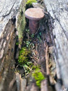 Intuitive Cognition - Photography