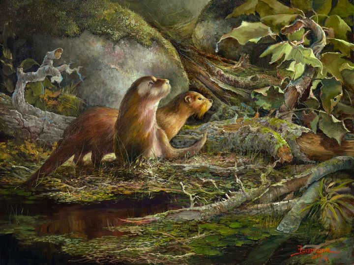 River Otters by Stefan Baumann Oil - Stefan Baumann - Paintings ...