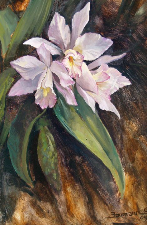 Orchid Study - Stefan Baumann - Paintings & Prints, Flowers, Plants ...