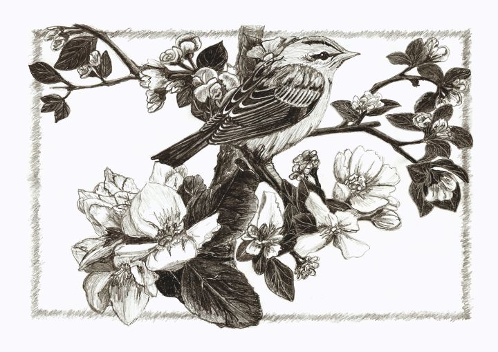 Spring - Art workshop - Drawings & Illustration, Landscapes & Nature ...