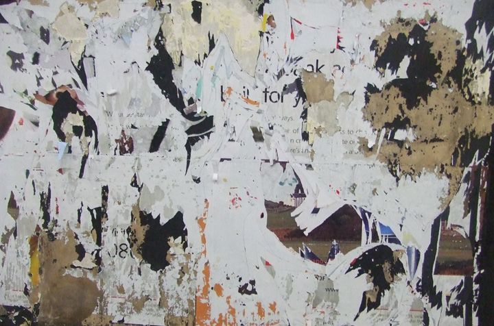 Jason Harding Photography - Photography