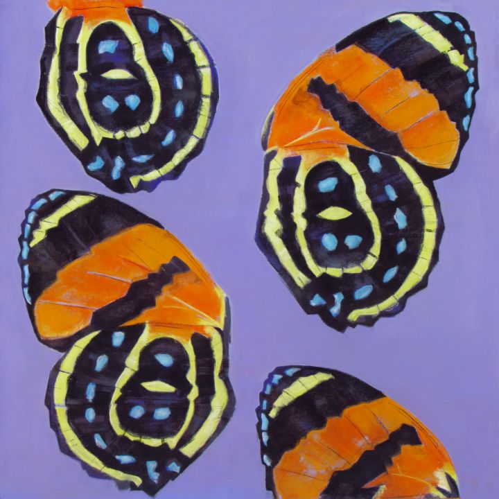 Callicore cynosura (BD butterfly) - malvinadesignature - Paintings ...