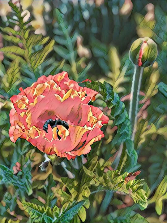 Poppy Beauty - Art of Mars - Digital Art & AI, Flowers, Plants, & Trees ...