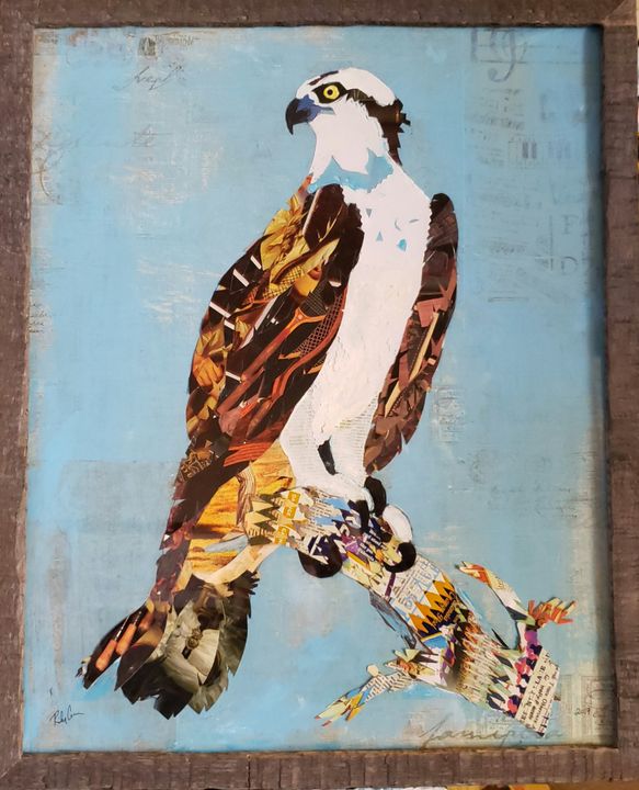Osprey - Riley Conn - Paintings & Prints, Abstract, Collage - ArtPal