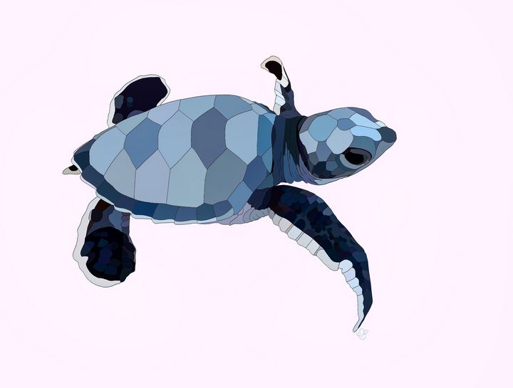 Seaturtle - Sheba Designs - Digital Art & AI, Animals, Birds, & Fish ...