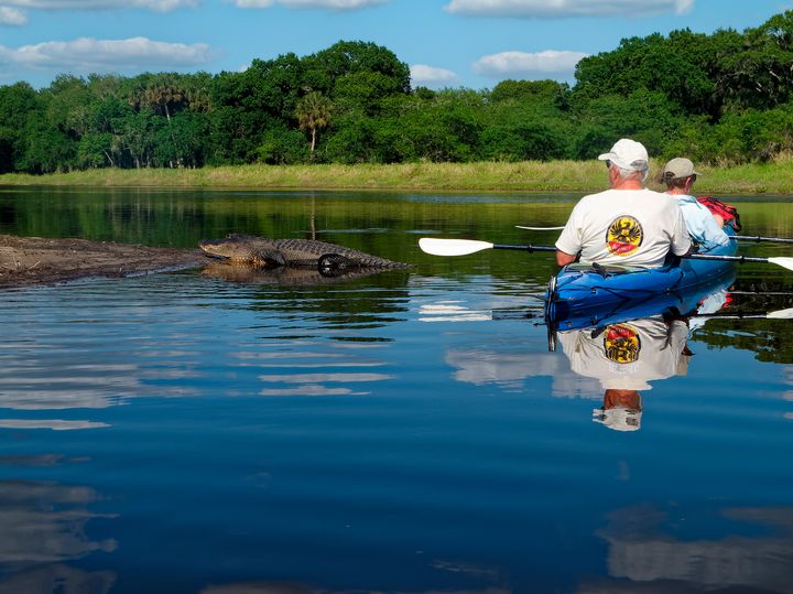 Kayaking Past a Gator - Sally Weigand Images - Photography, Sports ...