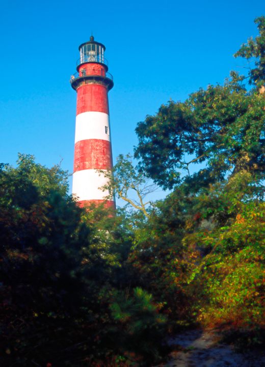 Assateague Lighthouse - Sally Weigand Images - Photography, Places ...