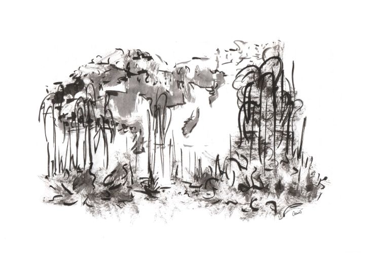 Landscape 2 - Pluma Tacuara - Drawings & Illustration, Abstract ...