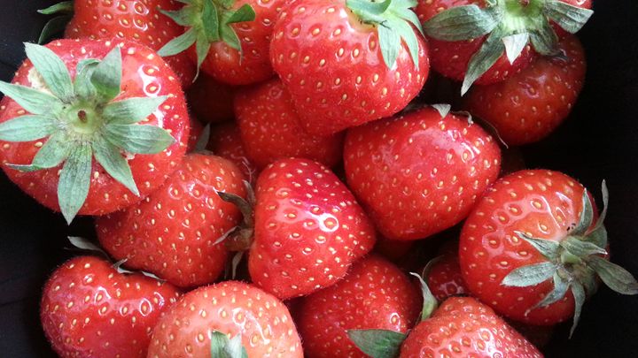 Strawberries - Dash DD - Photography, Food & Beverage, Fruit, Berries ...