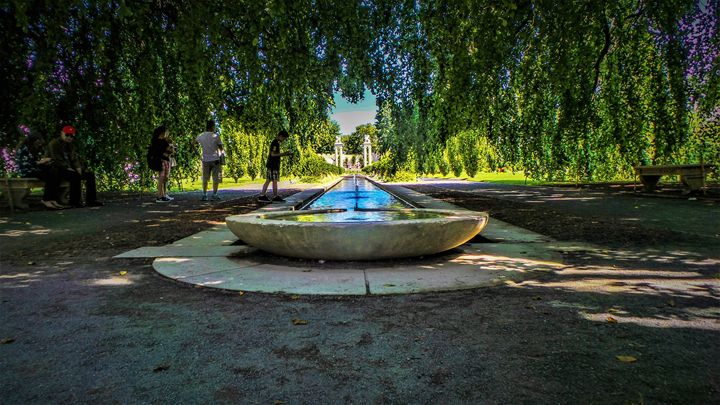 Untermeyer Gardens - Jonathan M. Schwartzman - Photography, Places ...