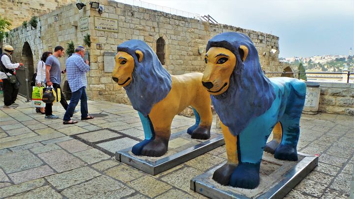 Exodus Lions - Jonathan M. Schwartzman - Photography, Places & Travel ...