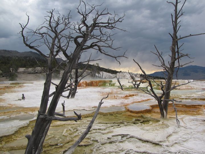 Yellowstone - Project 32 - Photography, Landscapes & Nature, Other ...