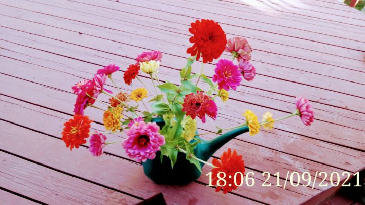 Bouquet - Al Mota - Photography, Still Life, Other Still Life - ArtPal