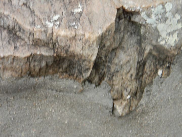 Perception - Al Mota - Photography, Still Life, Other Still Life - ArtPal