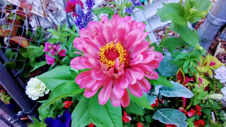 Beautiful - Al Mota - Photography, Still Life, Other Still Life - ArtPal