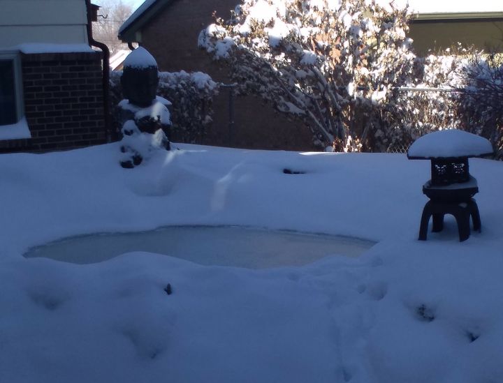 Snowy Pond.. - Al Mota - Photography, Still Life, Other Still Life - ArtPal