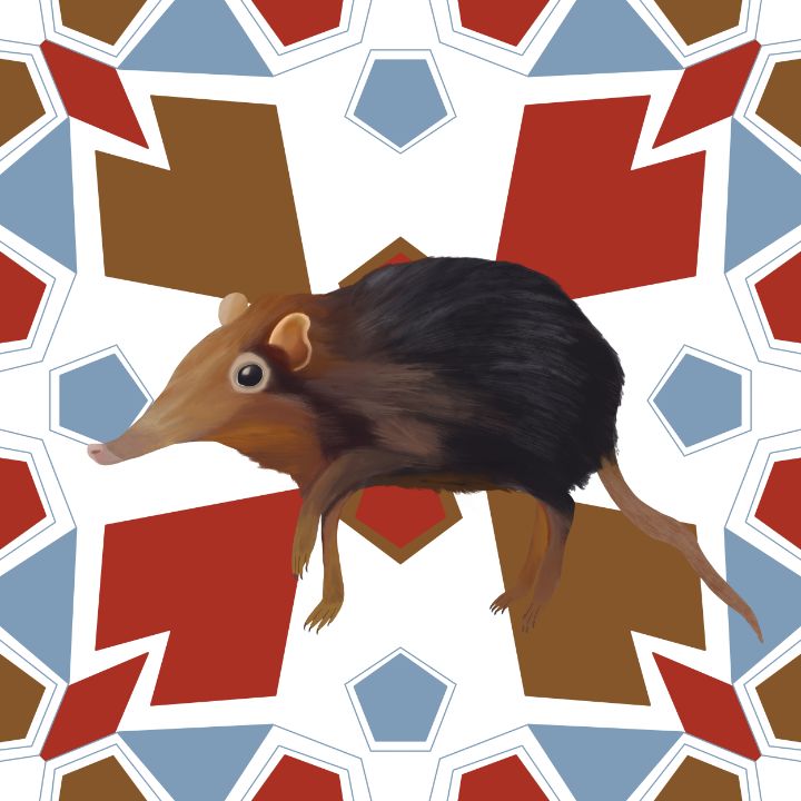 Whimsical Elephant Shrew / Sengi - Suneldesigns - Digital Art & AI ...