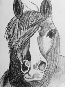 Shauna McIntyre's Gallery - Drawings & Illustration