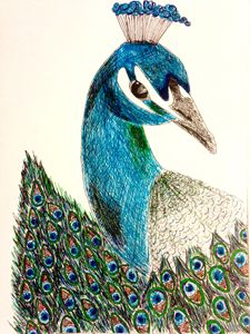 Shauna McIntyre's Gallery - Drawings & Illustration