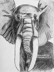 Shauna McIntyre's Gallery - Drawings & Illustration