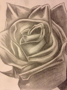 Shauna McIntyre's Gallery - Drawings & Illustration