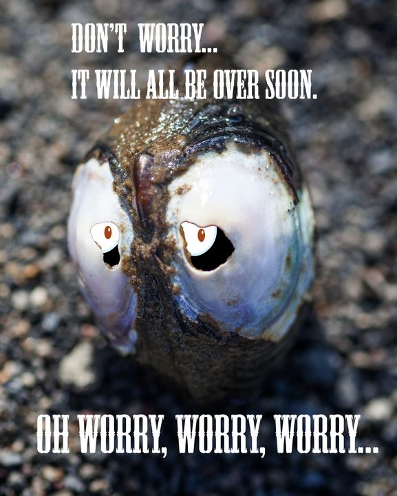 The worry wart - Natural Born Talents - Photography, Abstract, Organic ...