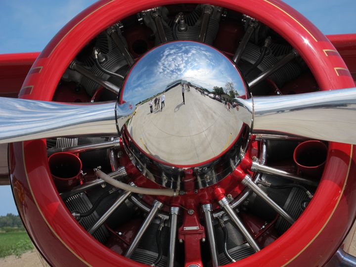 Red Wing 2 - Susan Riha Parsley Gallery Art Ink It! - Photography ...