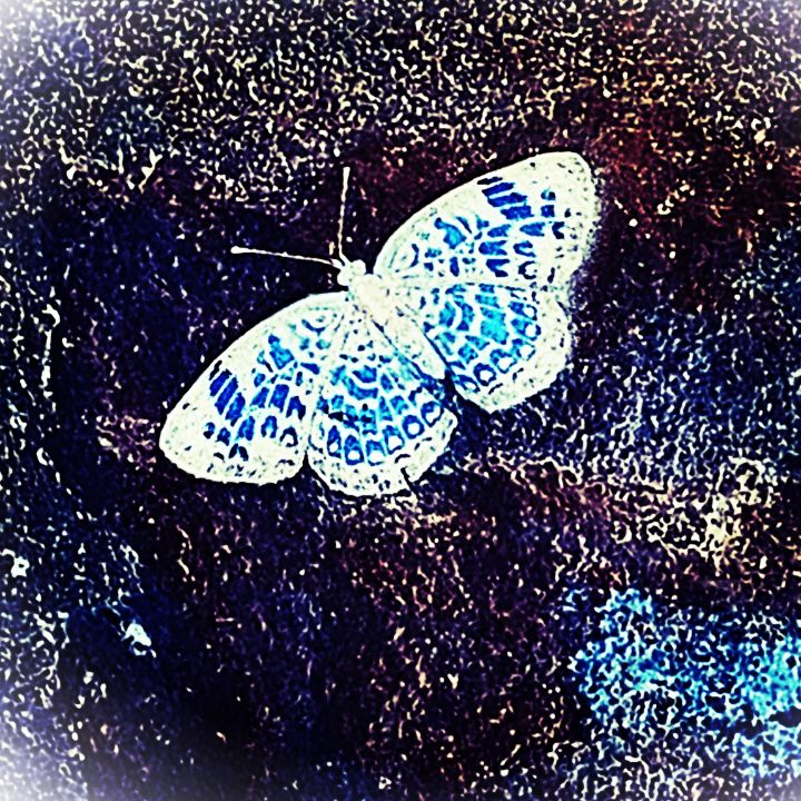 Shadow Work - Ethereal Art by Jen - Photography, Landscapes & Nature ...