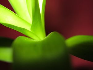 Joan8819 - Photography