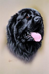 Black Labrador Retriever - Robert May Fine Arts - Paintings & Prints ...
