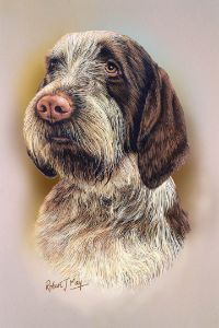 Black Labrador Retriever - Robert May Fine Arts - Paintings & Prints ...