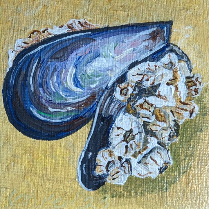 Shell with barnacles - Ian Peal Original Artwork - Paintings & Prints ...
