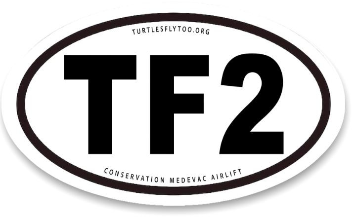 TF2 Euro Style Oval - TF2 Gallery - Drawings & Illustration, Animals ...