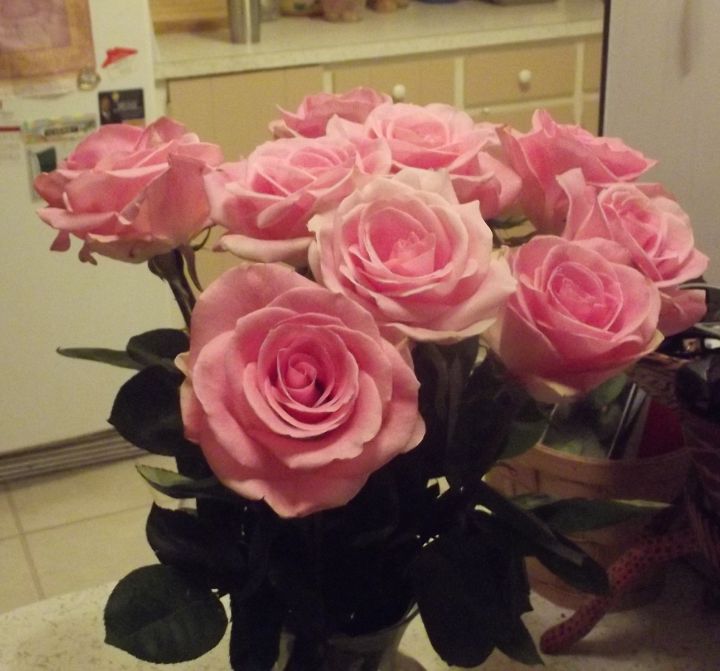 Valentine pink roses - RRO Gallery - Photography, Flowers, Plants ...