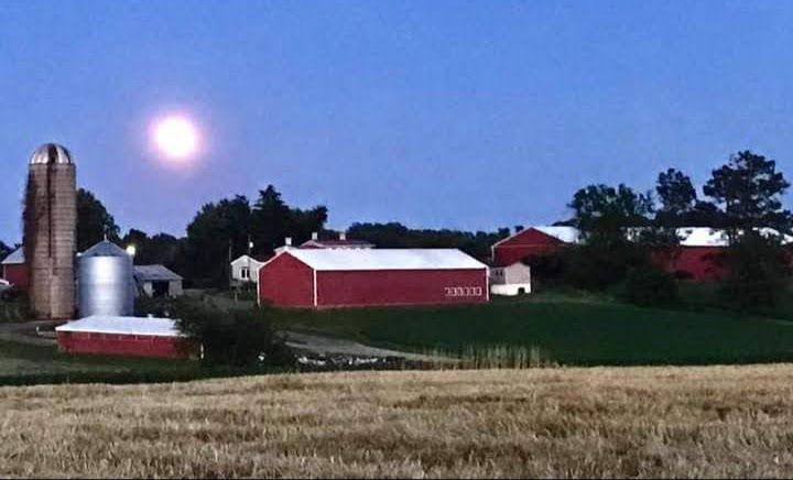 Harvest Moon @ Chestnut Lane Farm - Melissa Lee Milliord - Photography ...