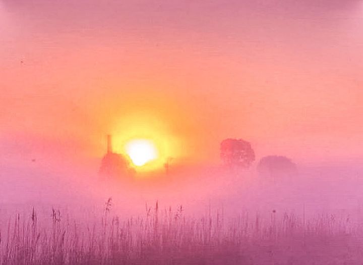 Sunrise Mist - Art Connect - Photography, Landscapes & Nature, Fields ...