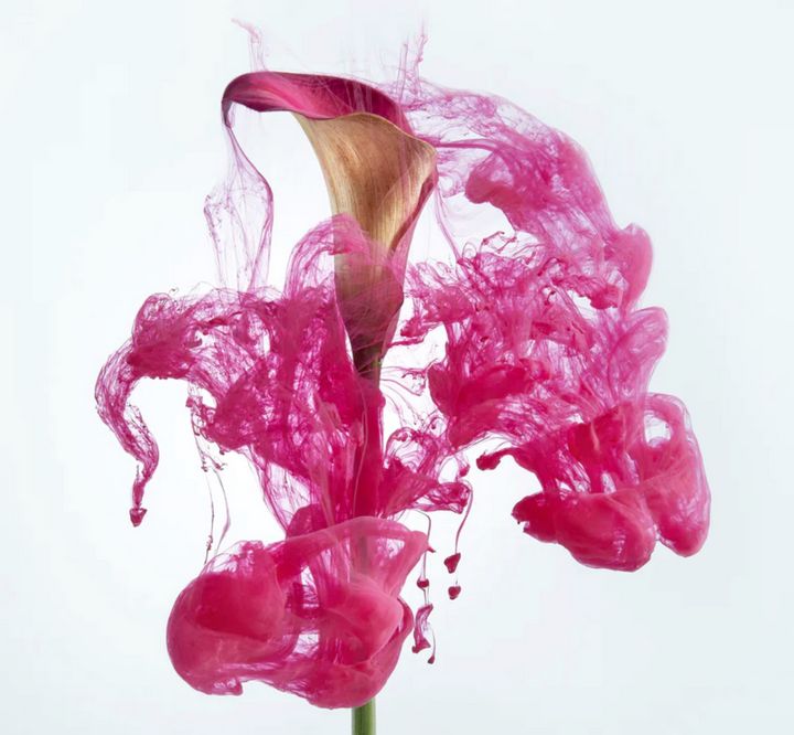 Bloomers - Art Connect - Paintings & Prints, Abstract, Landscape - ArtPal