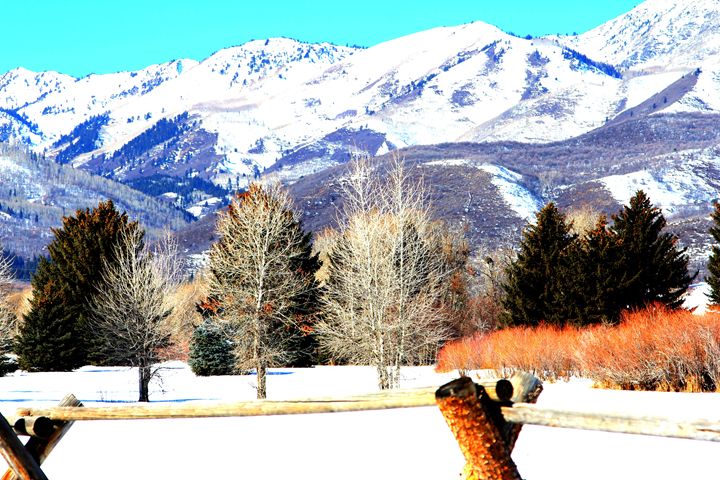Winter Wonderland - Falconz Eye Imagery - Photography, Landscapes ...