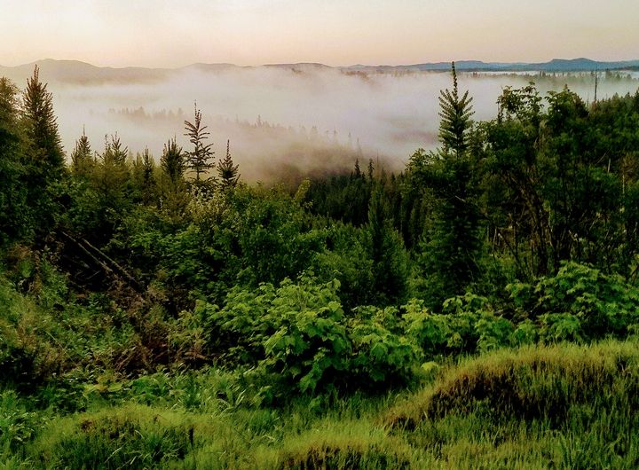 Morning Mist - Ams Artistry - Photography, Landscapes & Nature ...