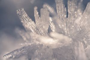 John Akerman Ozguc - Aquinox Art - Photography